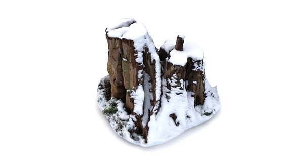 Nature snow 3D model - TurboSquid 1659712