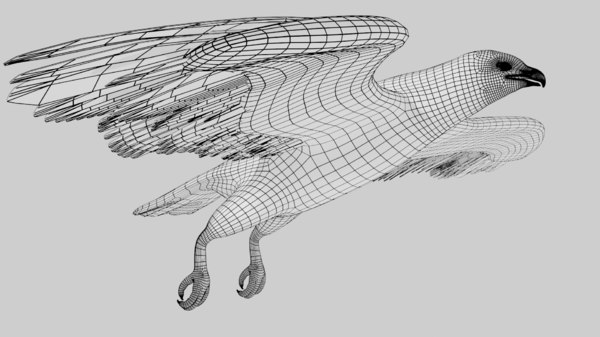 modelo 3d Halcón aparejado Low Poly - TurboSquid 1659772