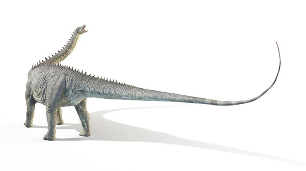 3D diplodocus model - TurboSquid 1659829