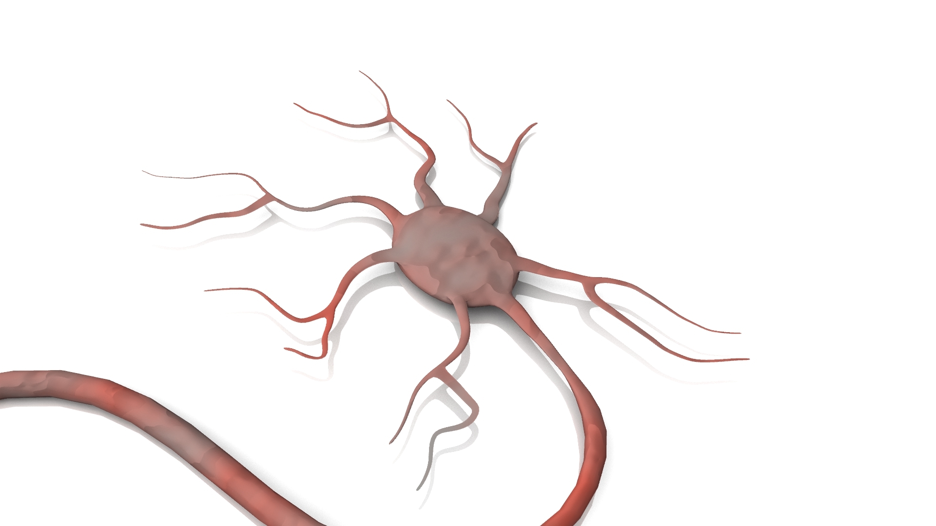 Free 3D neuron model - TurboSquid 1659870