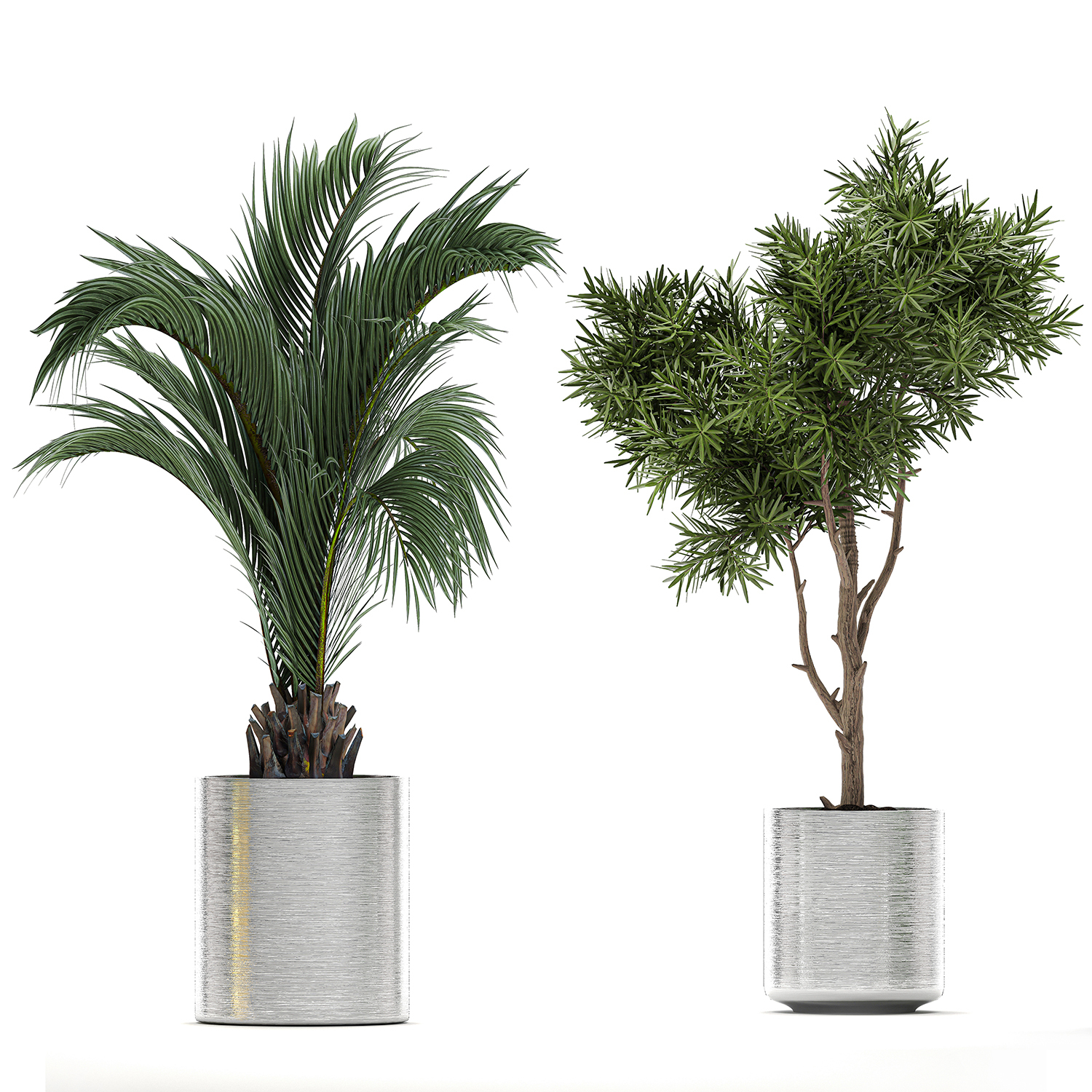 3D ornamental plants chrome flowerpot - TurboSquid 1660016