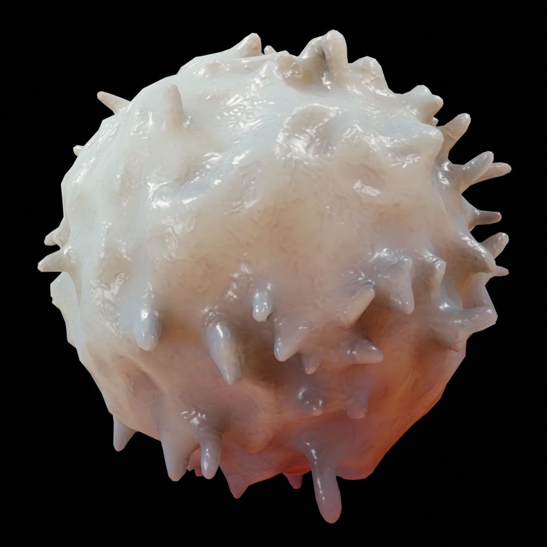 3D lymphocyte blood cells - TurboSquid 1660077