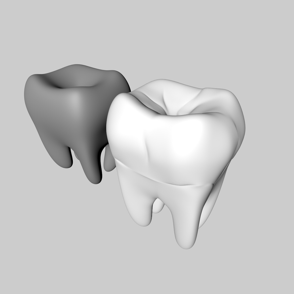 Zahn 3D-Modell - TurboSquid 1661367