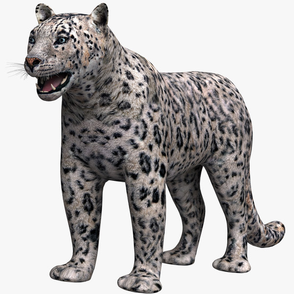 snow leopards c4d