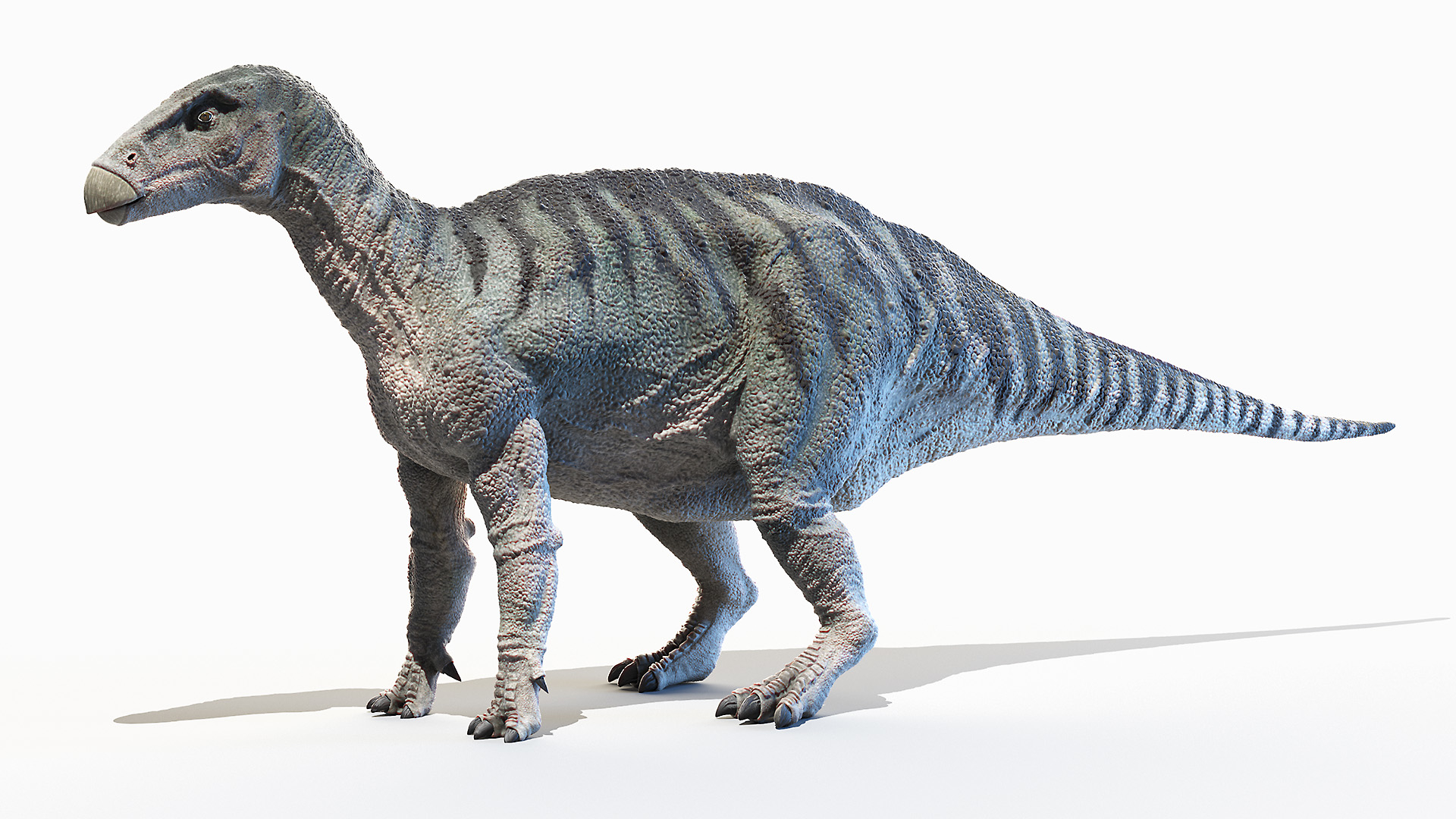 Iguanodon Animated3Dモデル - TurboSquid 1662114