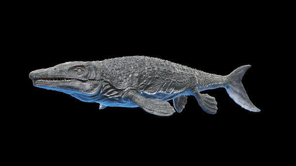 Mosasaurus animado Modelo 3D - TurboSquid 1662915