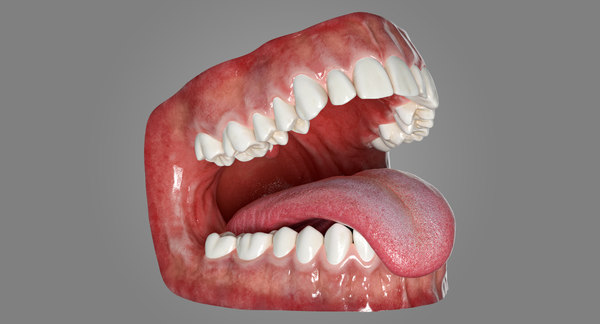 Human mouth tongue rigged 3D model - TurboSquid 1665670