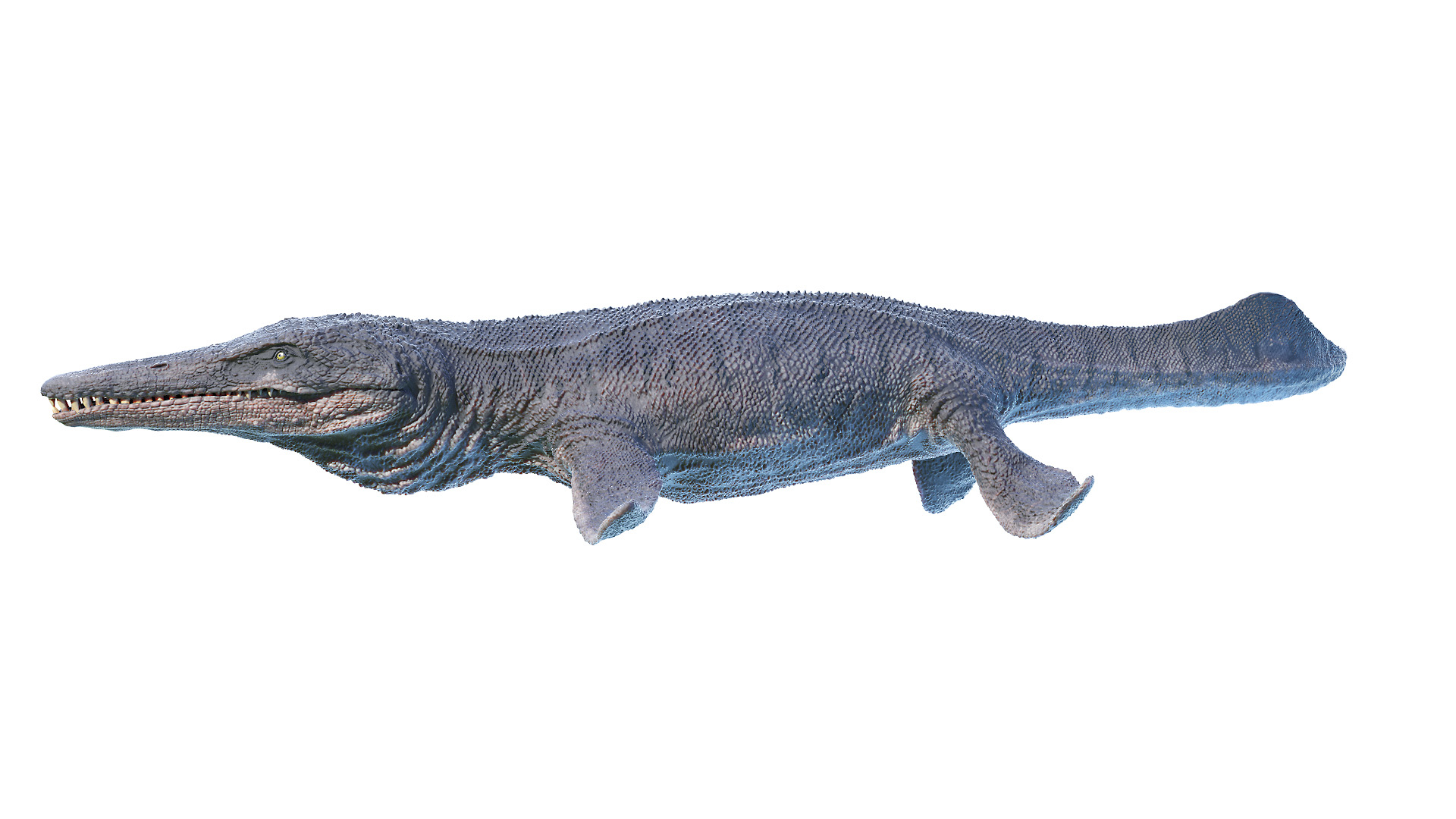 Kronosaurus Animated 3D-Modell - TurboSquid 1668957