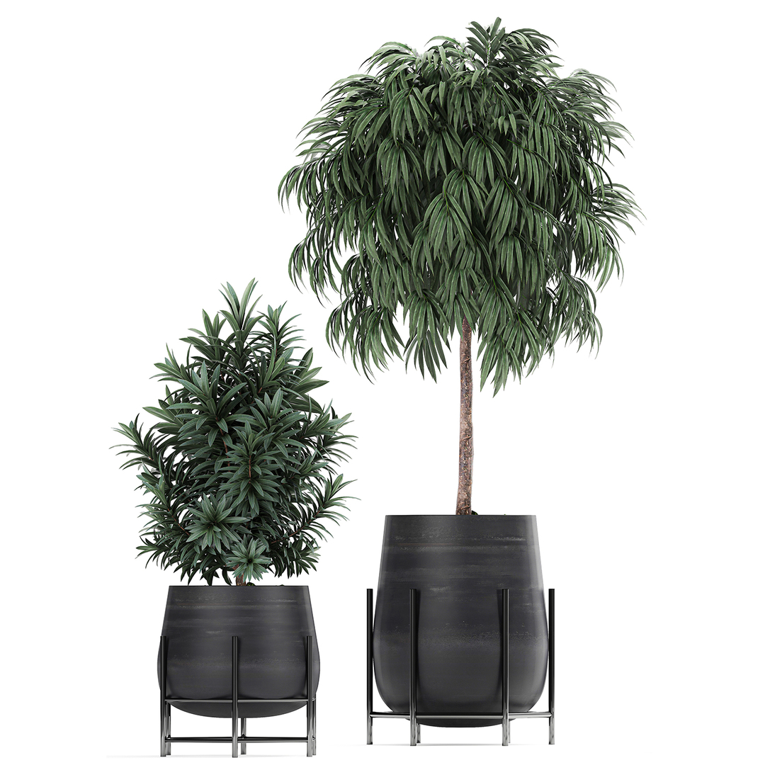 Plants flowerpots pots model - TurboSquid 1669012