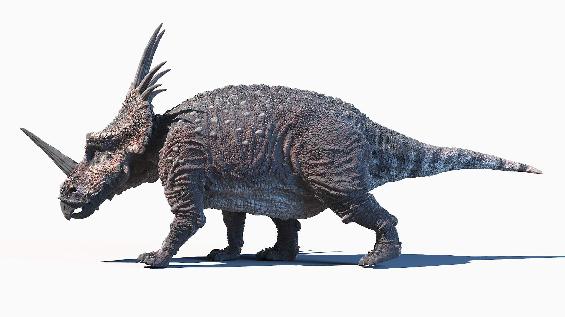 Styracosaurus 3D model - TurboSquid 1669705