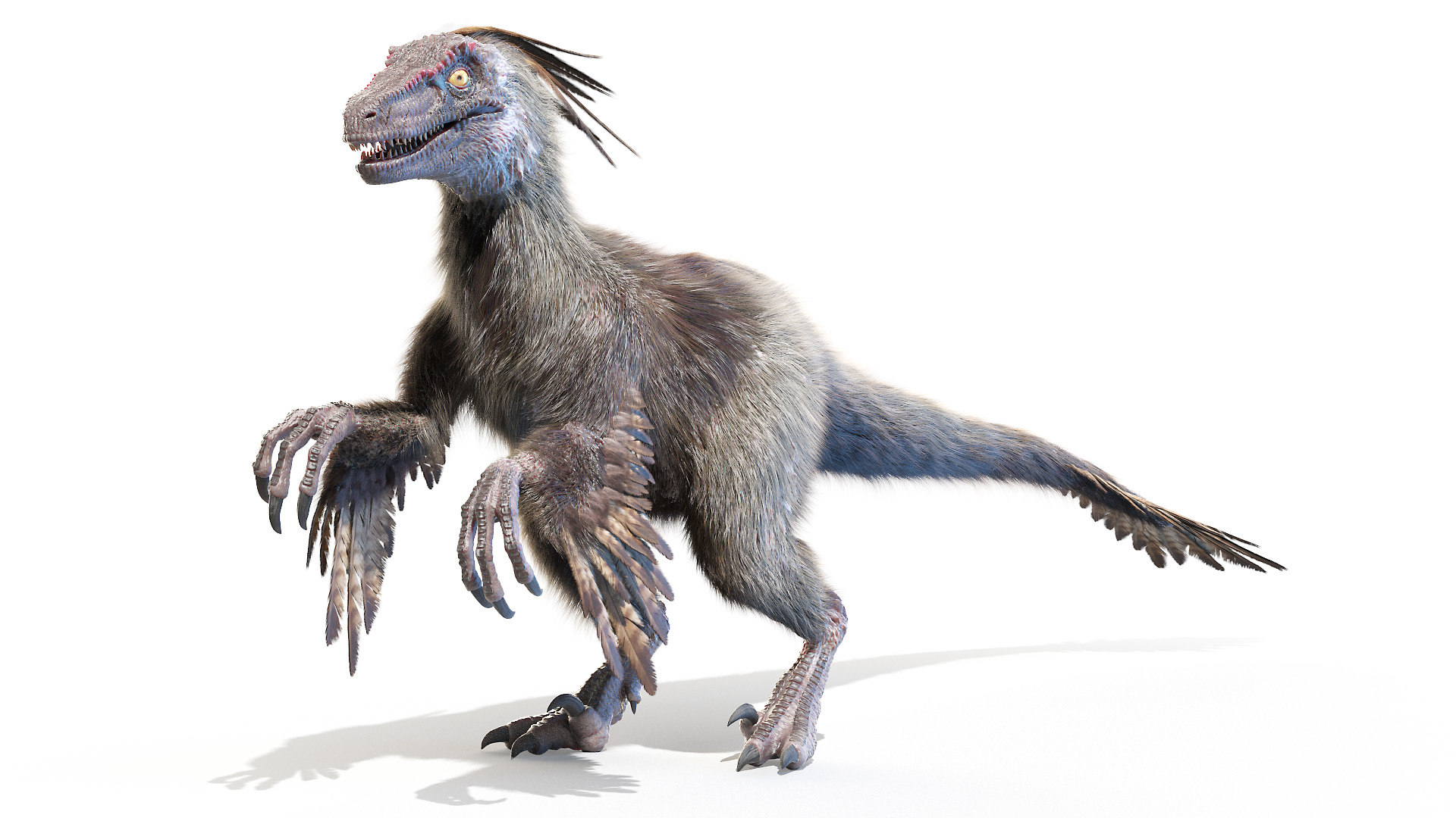 Velociraptor v 3D - TurboSquid 1670270