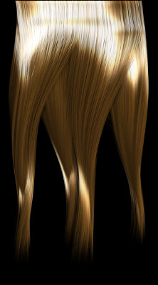Texture Targa hair brown human