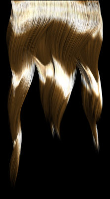 Texture Targa hair brown human