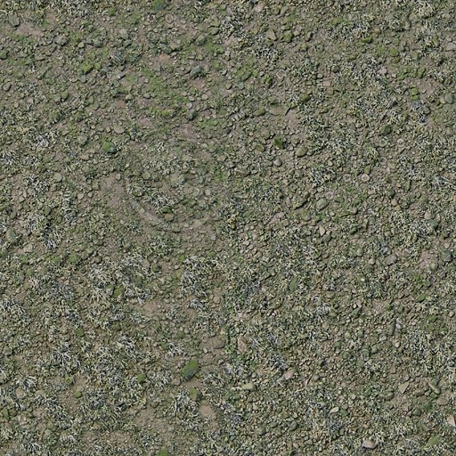 Texture Other riverbed seabed texture