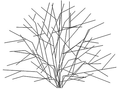 Building Revit Family Shrub Rounded Deciduous