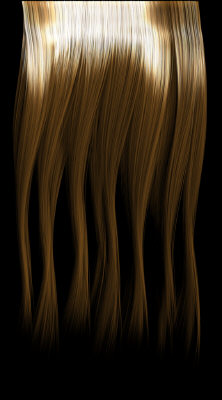 Texture Targa hair brown human