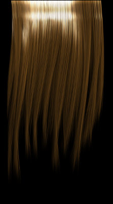 Texture Targa hair brown human