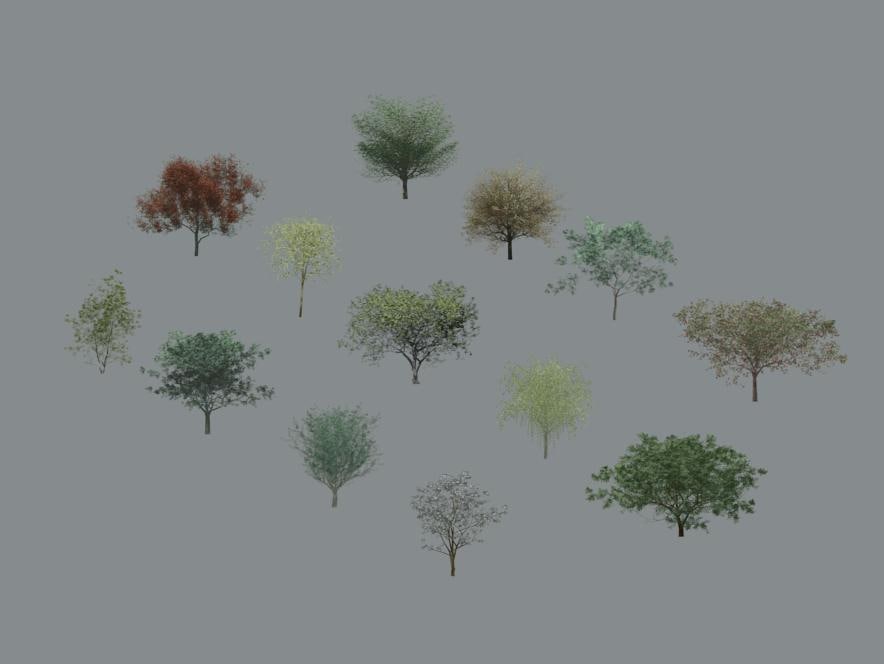 Building Revit Family Tree plant