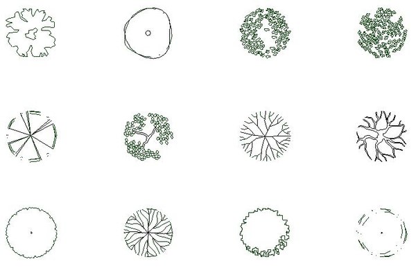 Building Revit Family Tree plant