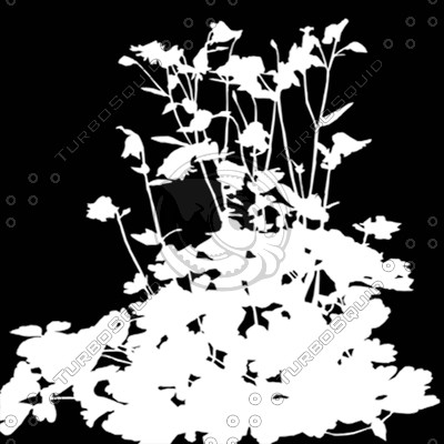 Texture Targa flower trees bush