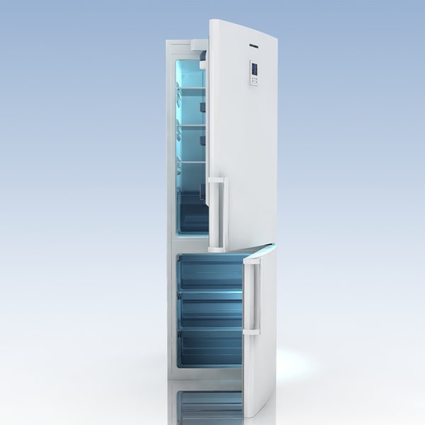 fridge samsung rl 40 max